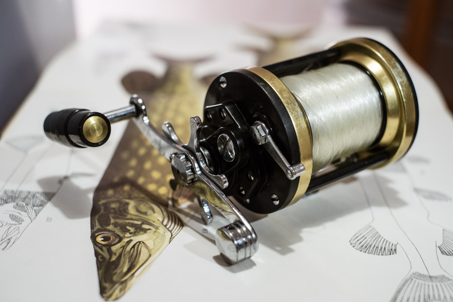 Penn-Mag-Power-980-3 – charlene winfred